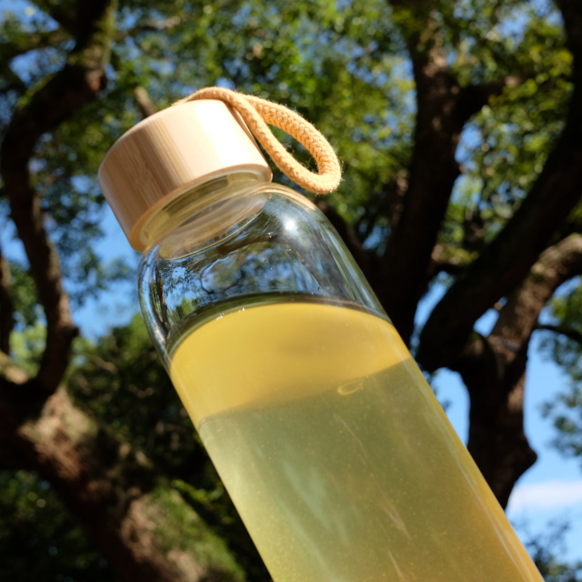 The Top 3 Benefits of Cold Brew Green Tea – LILIKU TEA